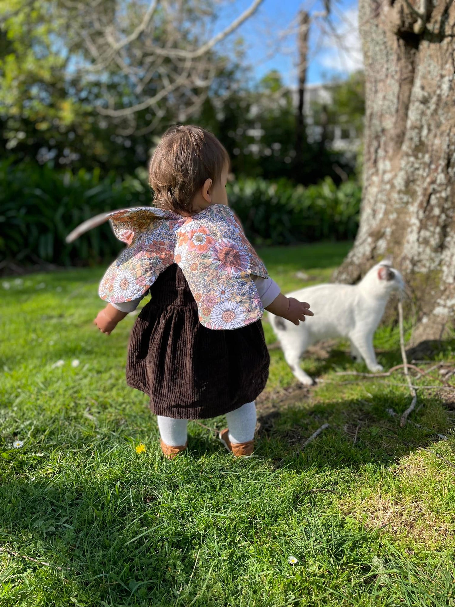 Contact – Wolf Foot Designs